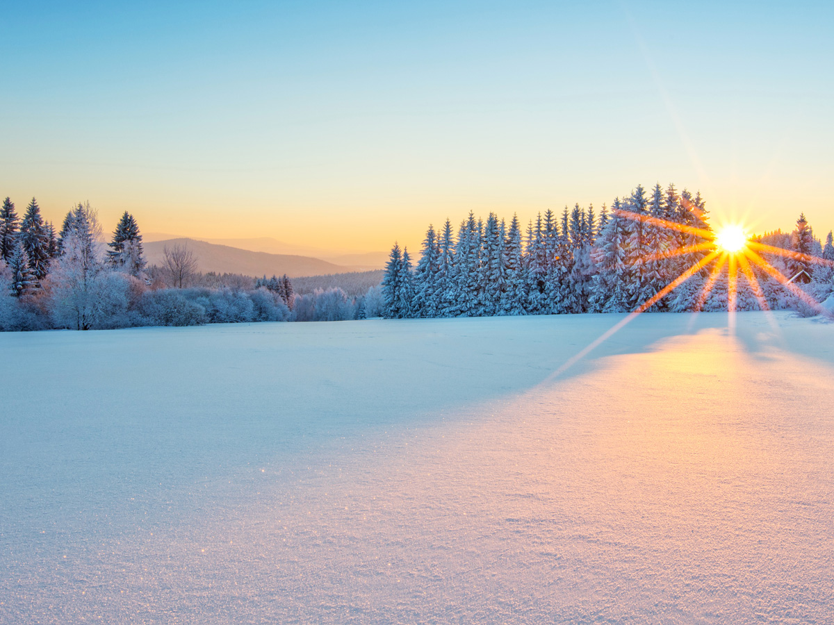 Faculty and Staff Invited to Join Popular Well-Being Series | Syracuse University Today